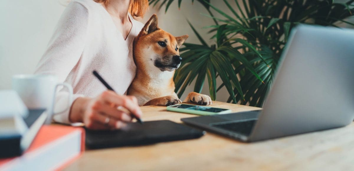 How to Make Work More Exciting! | VOC Associates Blog
